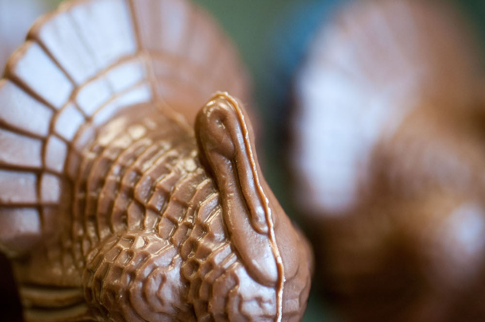Chocolate Turkey – The Secret Chocolatier